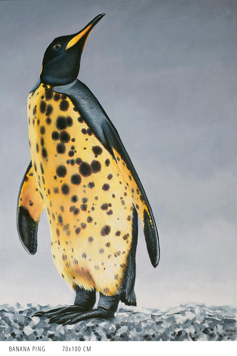 Portfolio der Malerei im atelier-mof in Erkrath